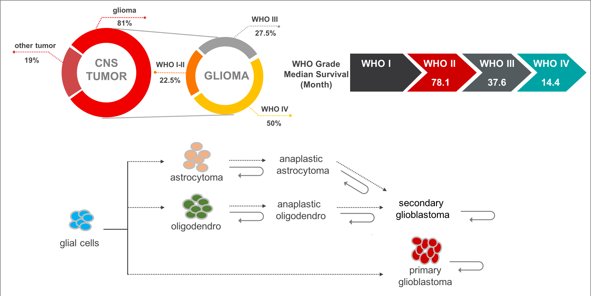 About | CGGA - Chinese Glioma Genome Atlas